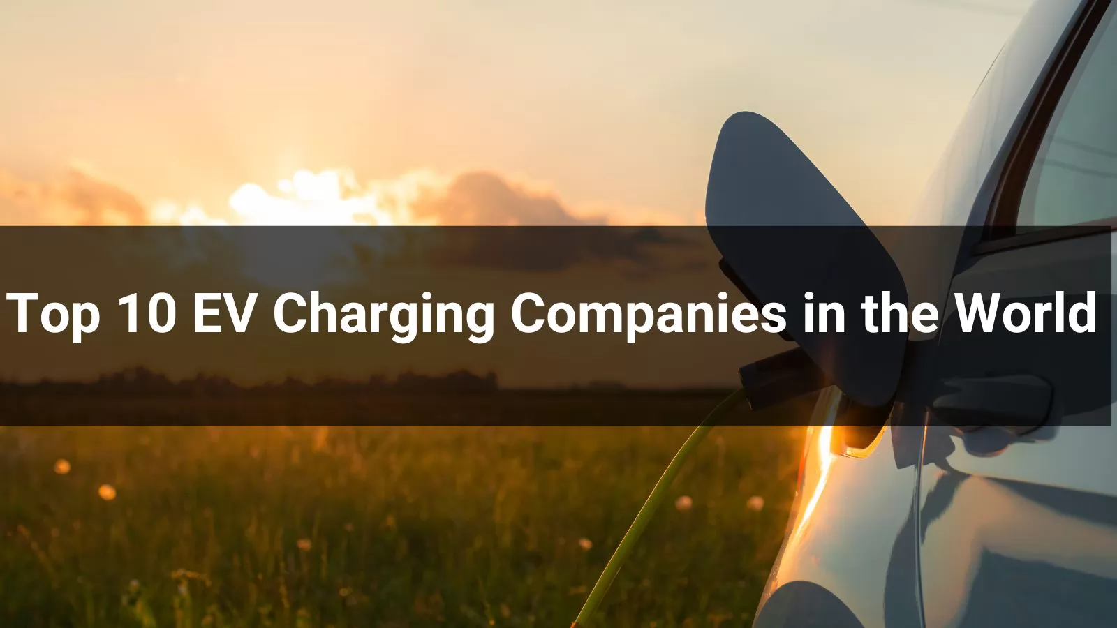 Top 10 EV Charging Companies in the World (Updated 2025) - Anari Energy